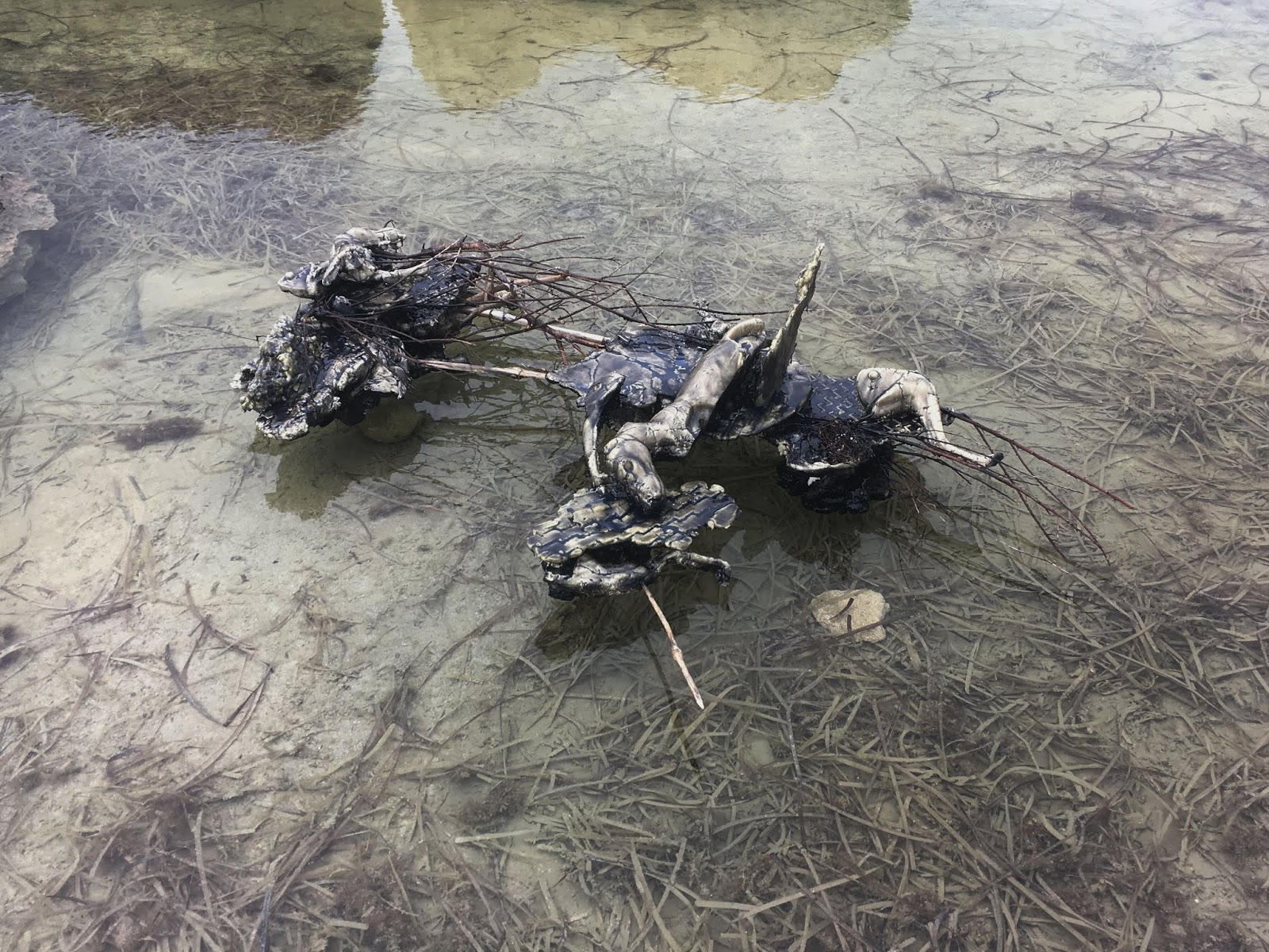 Ö2. Giulia Cenci – “ It is more a matter of interconnection between ...