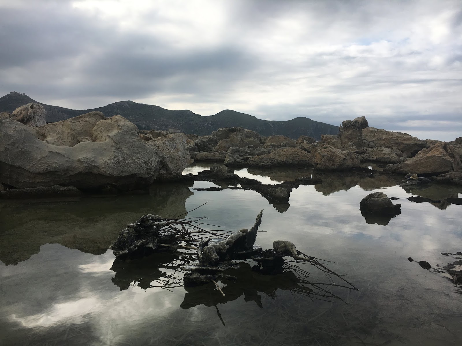 Ö2. Giulia Cenci – “ It is more a matter of interconnection between ...