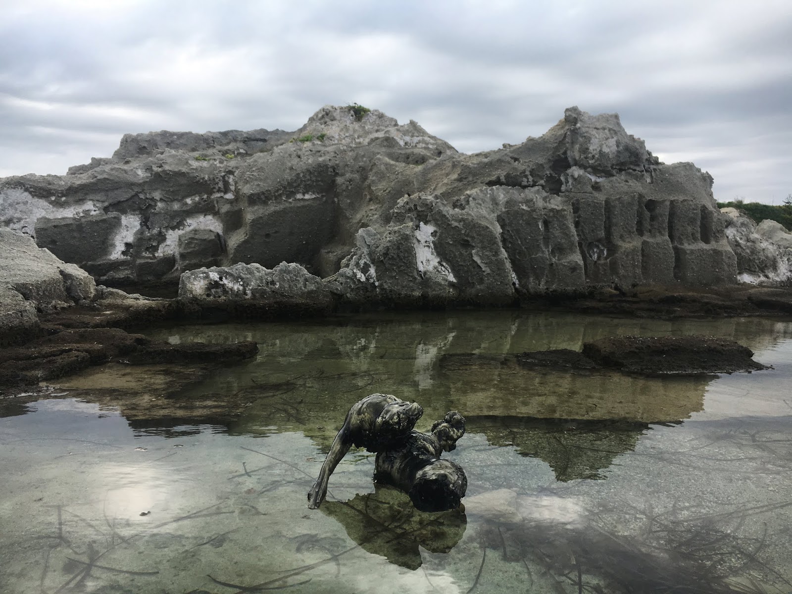 Ö2. Giulia Cenci – “ It is more a matter of interconnection between ...